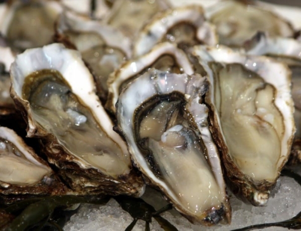 French Fish Vocabulary - P-O Life