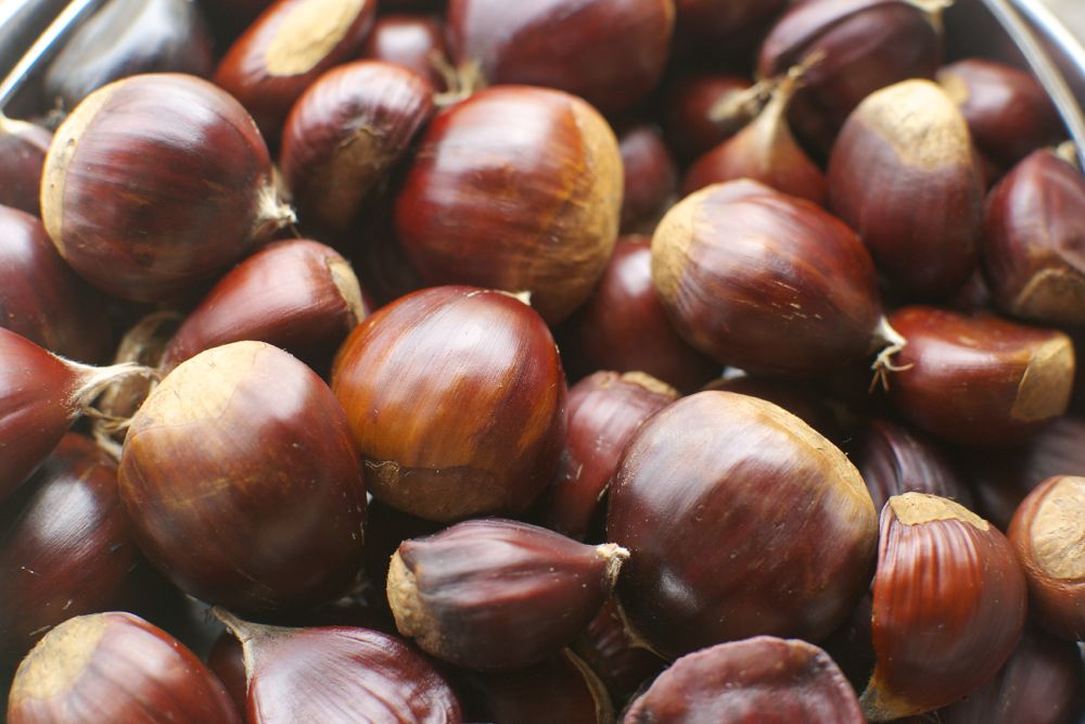 Simple Chestnut & Pumpkin Soup - P-O Life