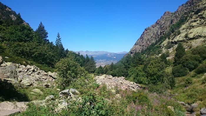 font rom summer - P-O Life