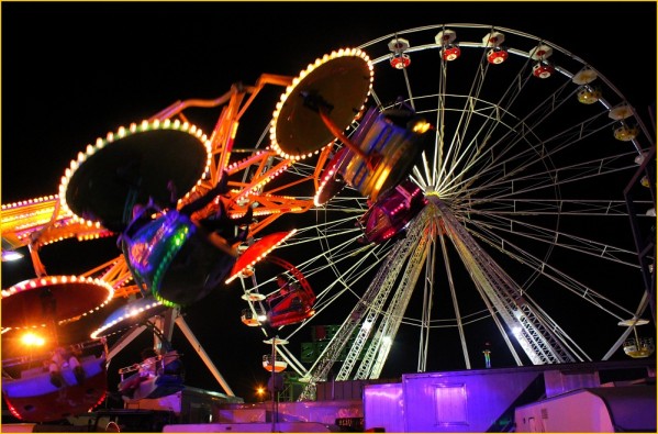 Flea market - Perpignan - P-O Life