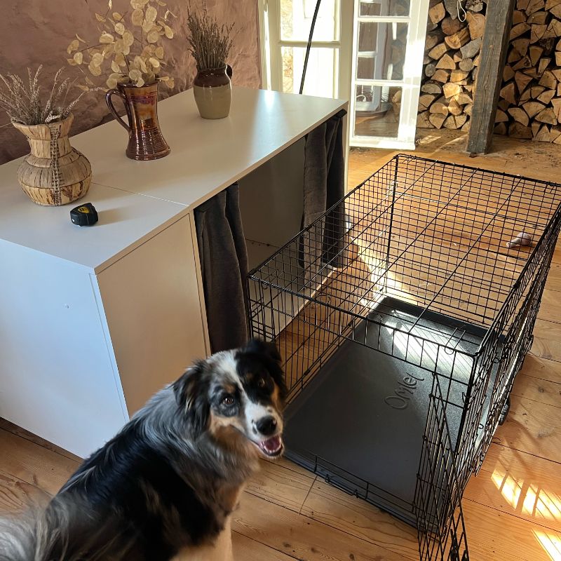 Dog nook with removable travel crate and storage space