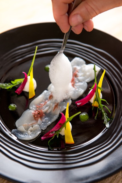 la-salmandre-basse-def-4-2 - P-O Life