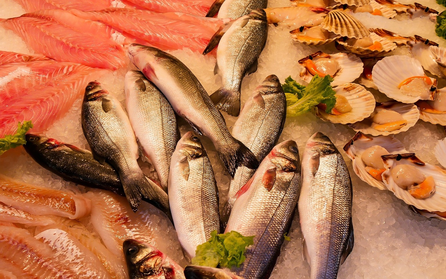 Les Poissonneries de la Côte Catalane (La Criée!)