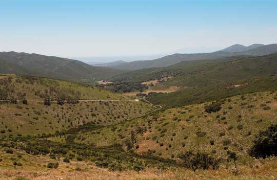 The Col de Banyuls - P-O Life