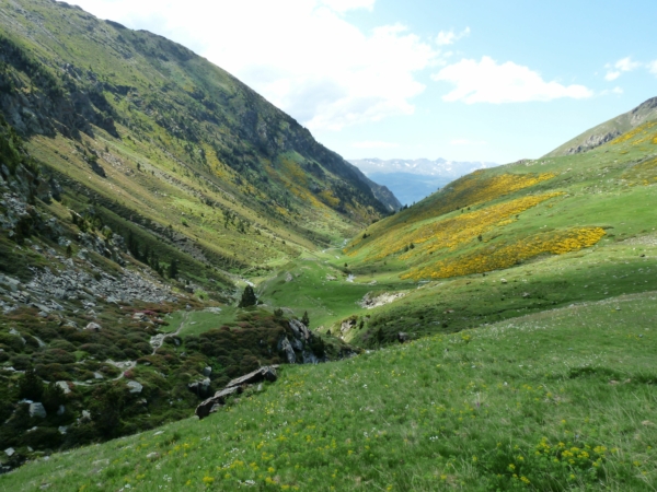 Out for the Day... in Eyne, also known as the Valley of Flowers