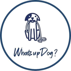 what's up dog - P-O Life